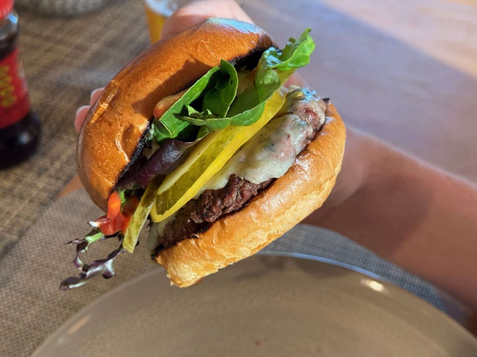 Trader Joe's Angus Chuck Brisket Sirloin Beef Patties Review 2025: Are ...